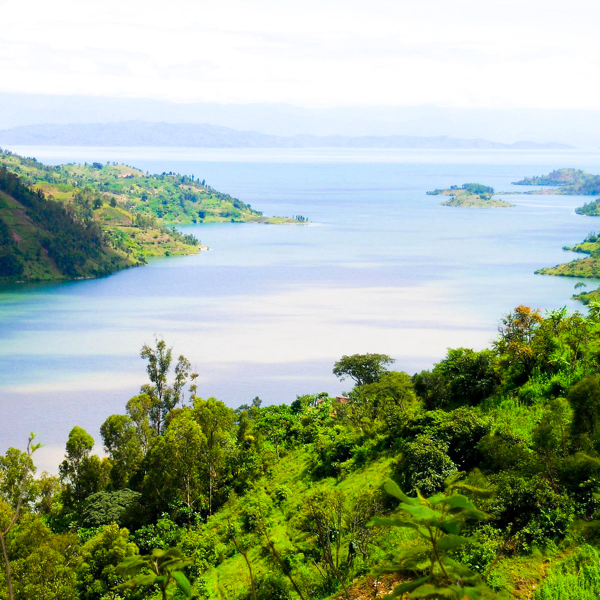 Ever Retreat: Rwanda's Premier Luxury Eco-Villa for Unmatched ...